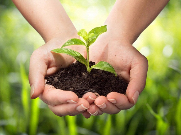 How Nature Impacts Our Wellbeing In 2023 | Close To Nature