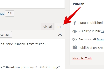 How To Add Padding To An Image in Wordpress