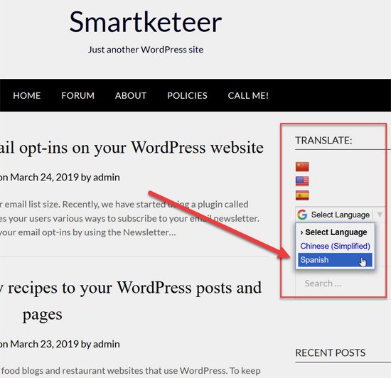 How to add Google Translate to your Wordpress website