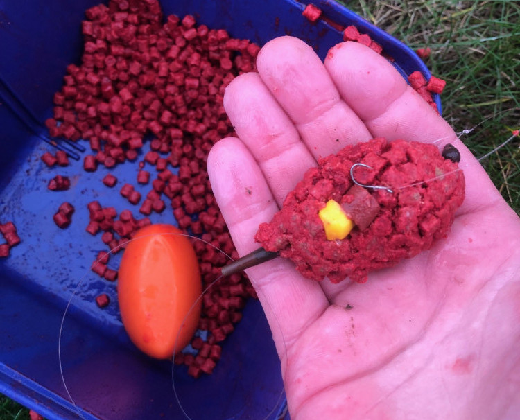 10 Summer Carp Fishing Tips