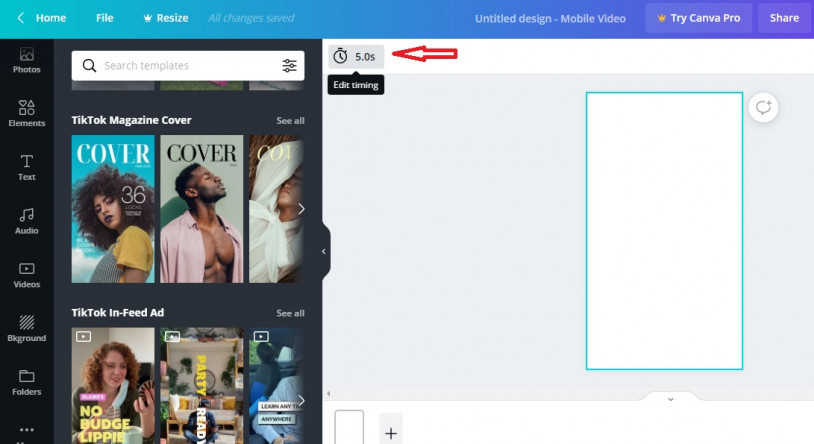 How To Create TikTok Videos And YouTube Shorts In Canva Without Showing ...