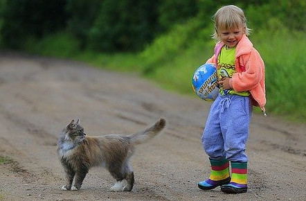 How To Exercise Your Cat: The Secret How-To Guide