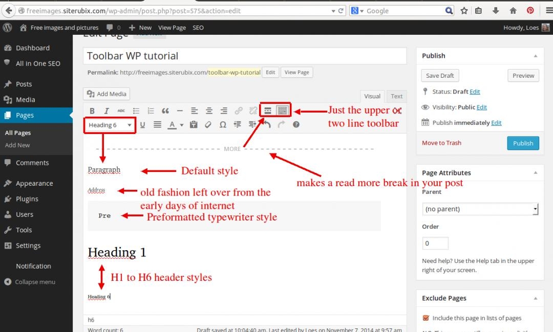 WP toolbar training for beginners