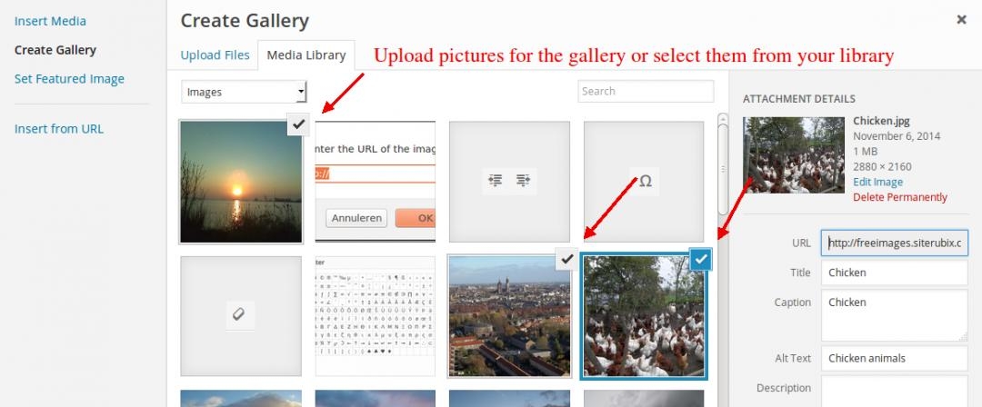 Add pictures lesson for beginners