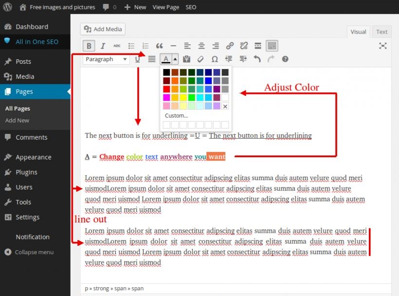 WP toolbar training for beginners