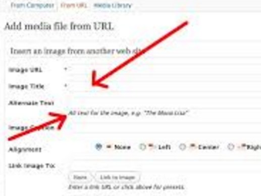IMAGES - Use The Alt Attribute!