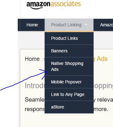 How to add amazon recommended ads to your website page or blog