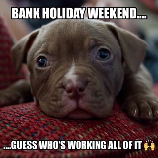 Funny Bank Holiday Memes
