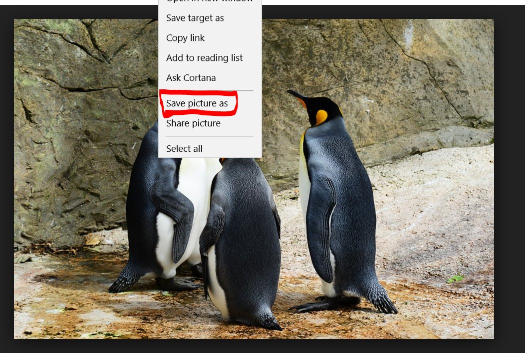 How To Use Google Images - Properly