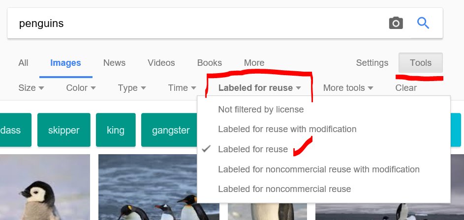 How To Use Google Images - Properly