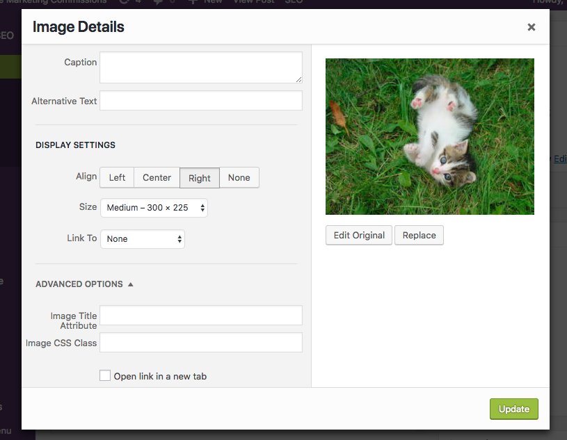How to give credit to the author of a Wikimedia Commons image