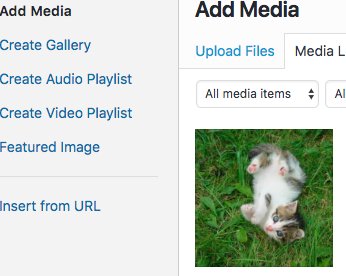 How to give credit to the author of a Wikimedia Commons image