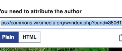 How to give credit to the author of a Wikimedia Commons image