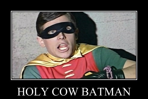 My 5624 Word Wealthy Affiliate Review.Holy Cow Batman!