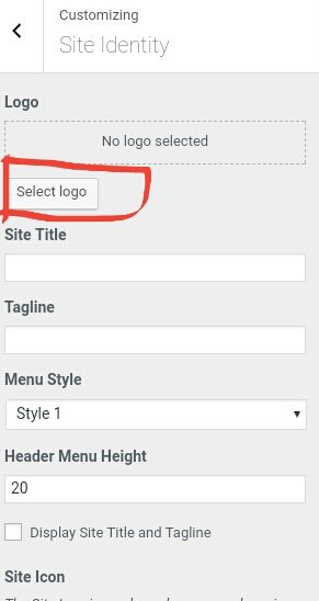 How to add a logo and icon to your website
