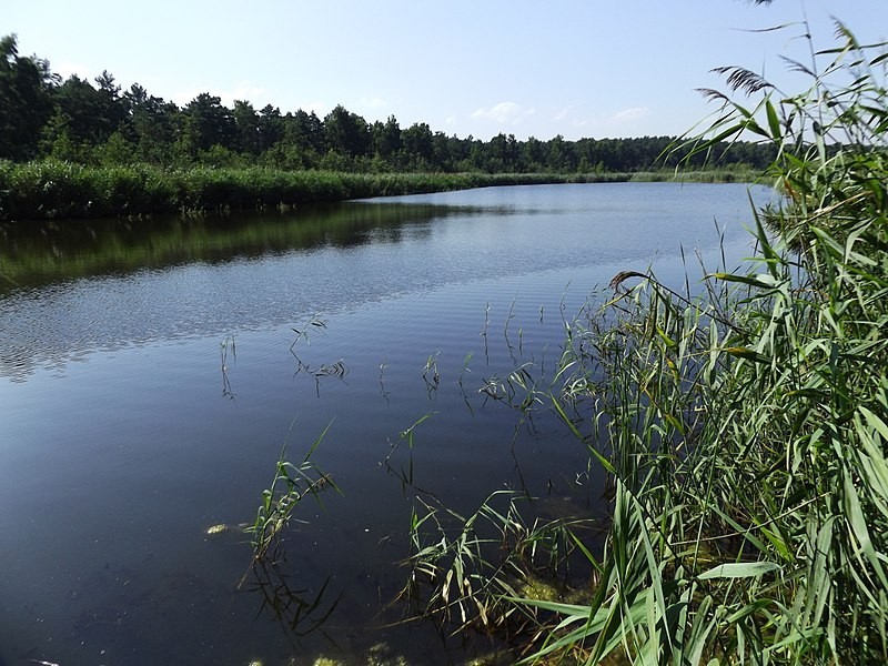 10 Best Lakes in Poland | Beauty of Poland