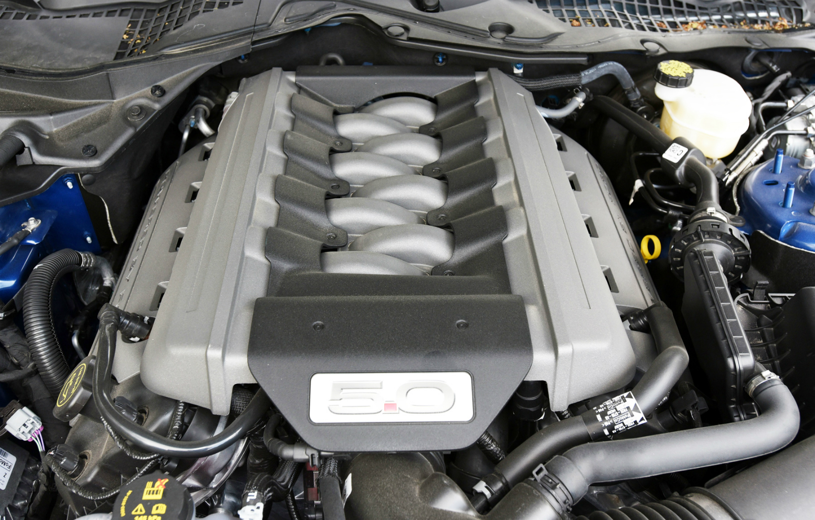 The original pony car