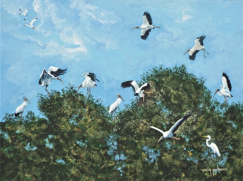 Birds Page 1 | artist, Craig Petersen | Geo Galleries