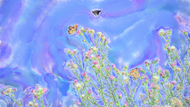 Solomon Walker Art Gallery | Geo Galleries