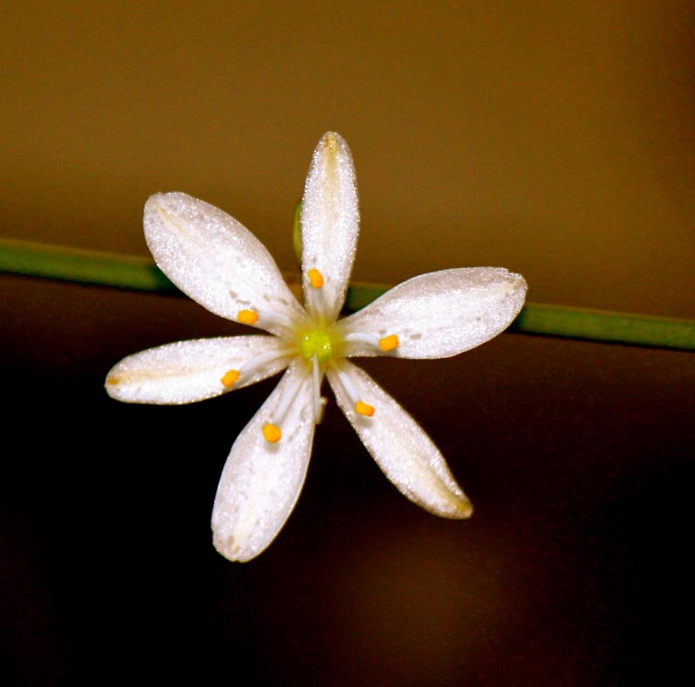 Sherri Talley | Geo Galleries