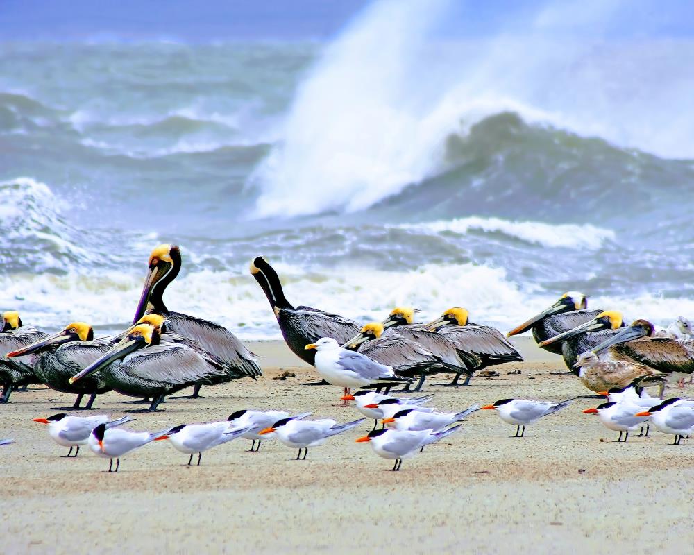 On a Beach Somewhere Page 1 | J Barry Gooch | Geo Galleries