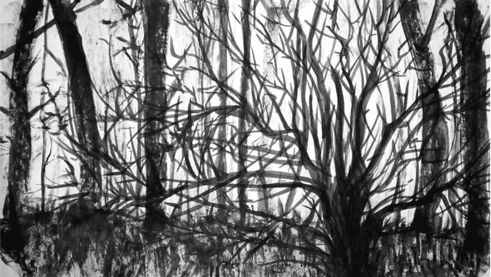 Drawing in the Driftless Page 1 | MARY FORNEY ART | Geo Galleries