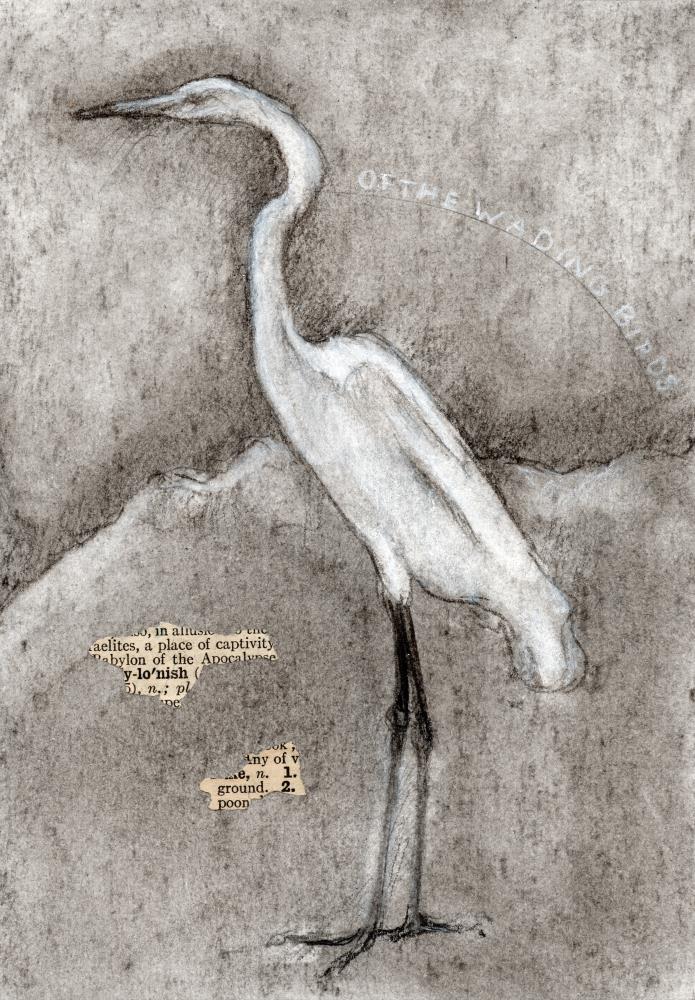 Birds Page 1 | Tim Olson Artworks | Geo Galleries