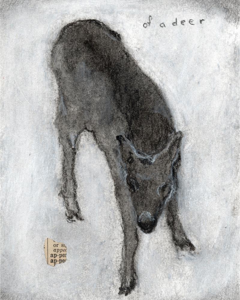 Animals Page 1 | Tim Olson Artworks | Geo Galleries