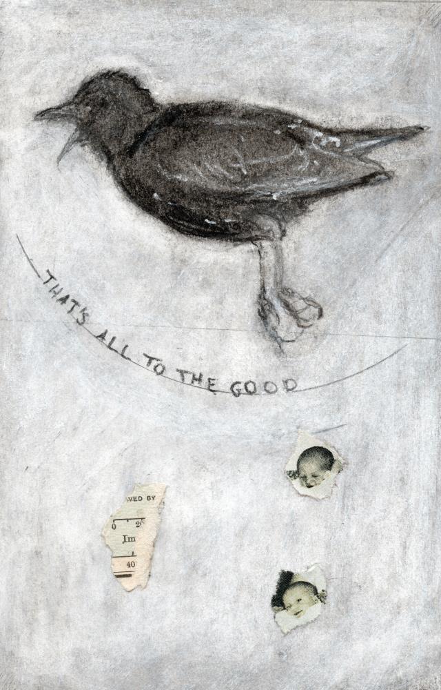 Birds Page 1 | Tim Olson Artworks | Geo Galleries