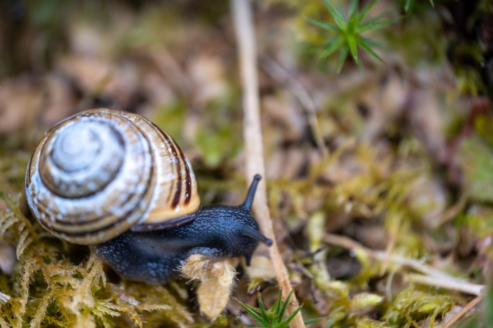 Zara Ann Photography | Geo Galleries