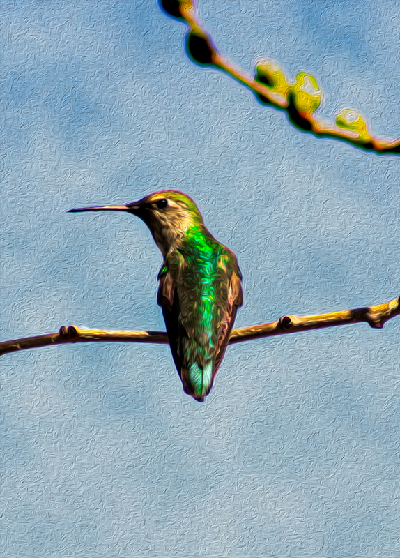 Iontas Images | Geo Galleries