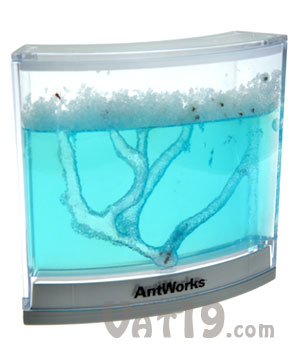 Antworks Illuminated Space Age Ant Habitat