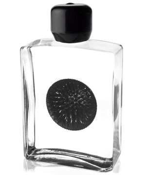Ferrofluid in a Bottle: The amazing magnetic liquid