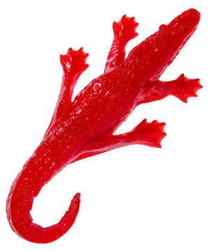 Giant Gummy Gator: Alligator made of pure gummy candy.