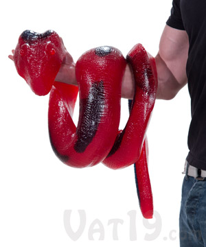 The 26-Pound Edible Gummy Python: 36,720 delicious calories