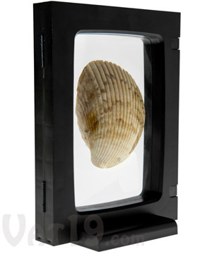 3D Display Frame: Unique way to display your treasured memories.