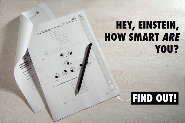 IQ Test Gift Box: Find out how clever you really are!