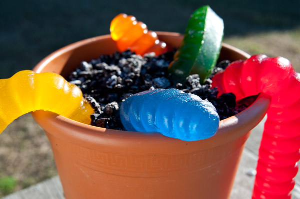 World's Largest Gummy Worm: Over 2 feet of gummy goodness.