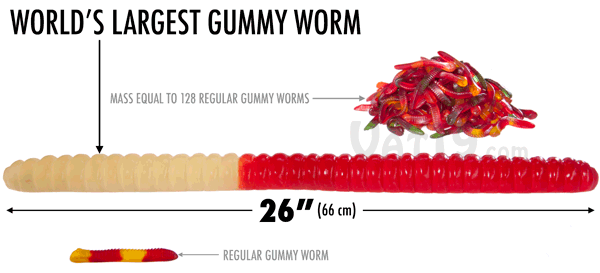 World's Largest Gummy Worm: Over 2 feet of gummy goodness.