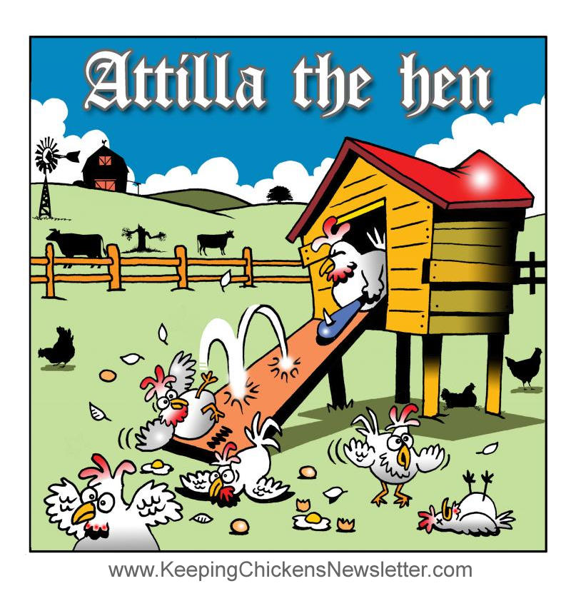 Attilla the Hen (Cartoon) by Mark Lynch | Keeping Chickens Newsletter