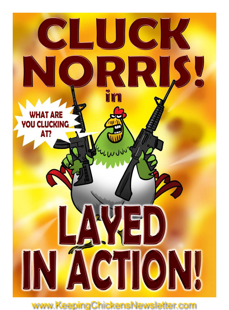 Cluck Norris Movie Poster (cartoon) | Keeping Chickens Newsletter