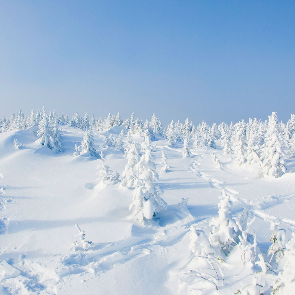 Conditions de neige - Sentiers de ski de fond et raquette - Sépaq