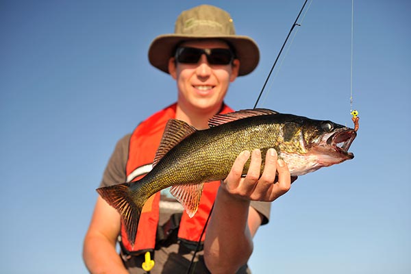 Pêche au doré jaune au Québec - Sépaq