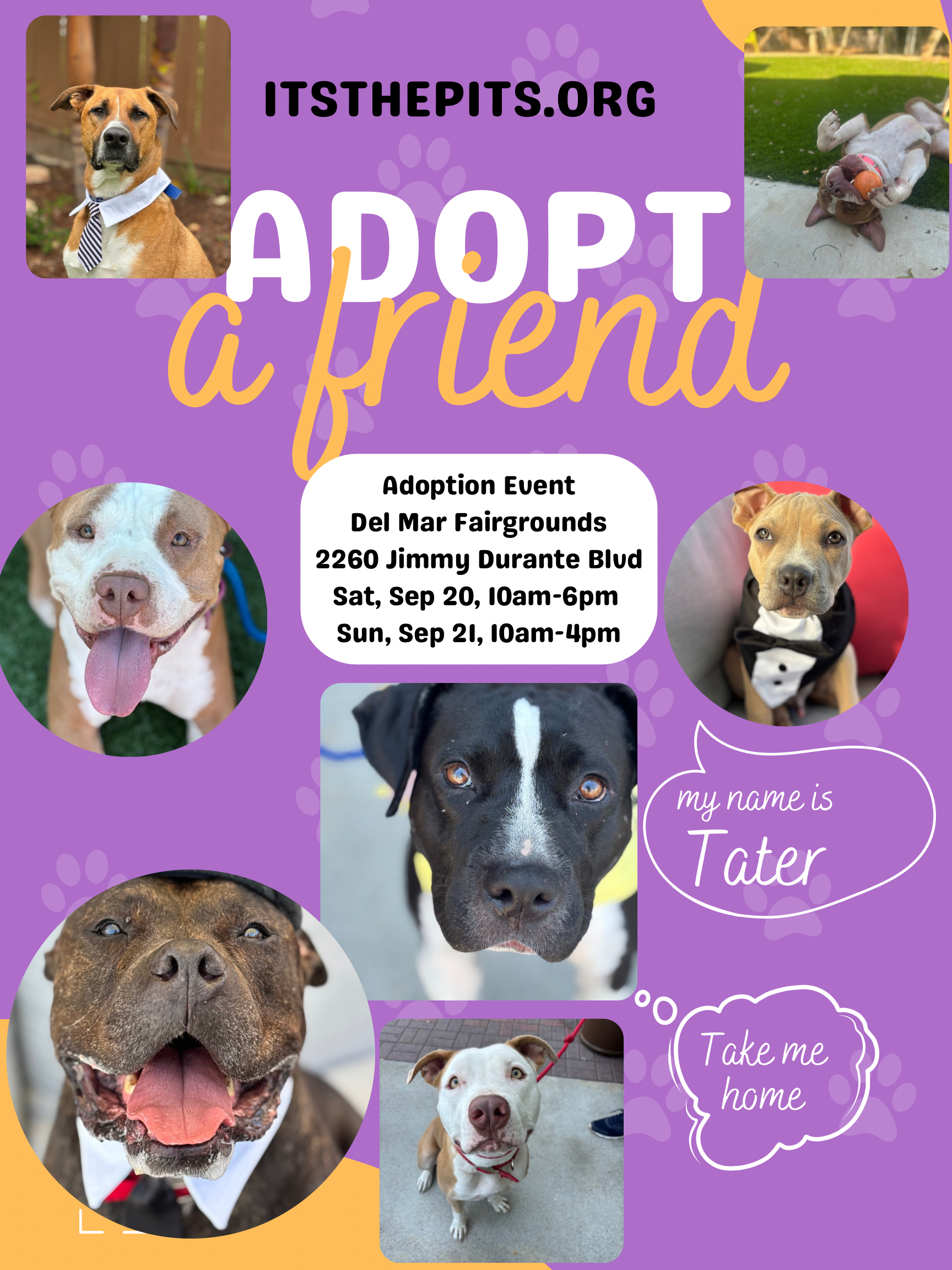 Welcome [www.itsthepits.org]