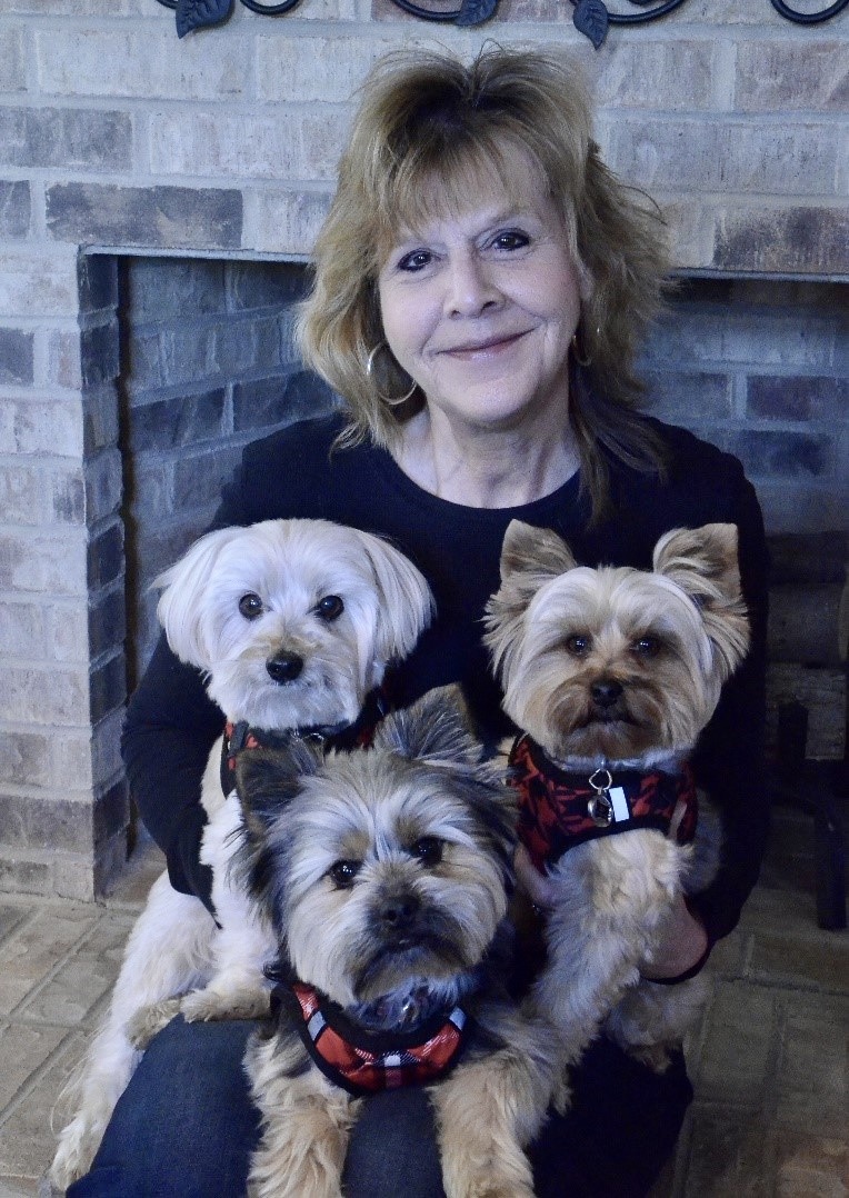 Welcome Save A Yorkie Rescue