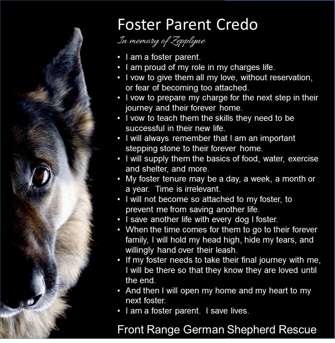 I Am An Animal Rescuer Poem