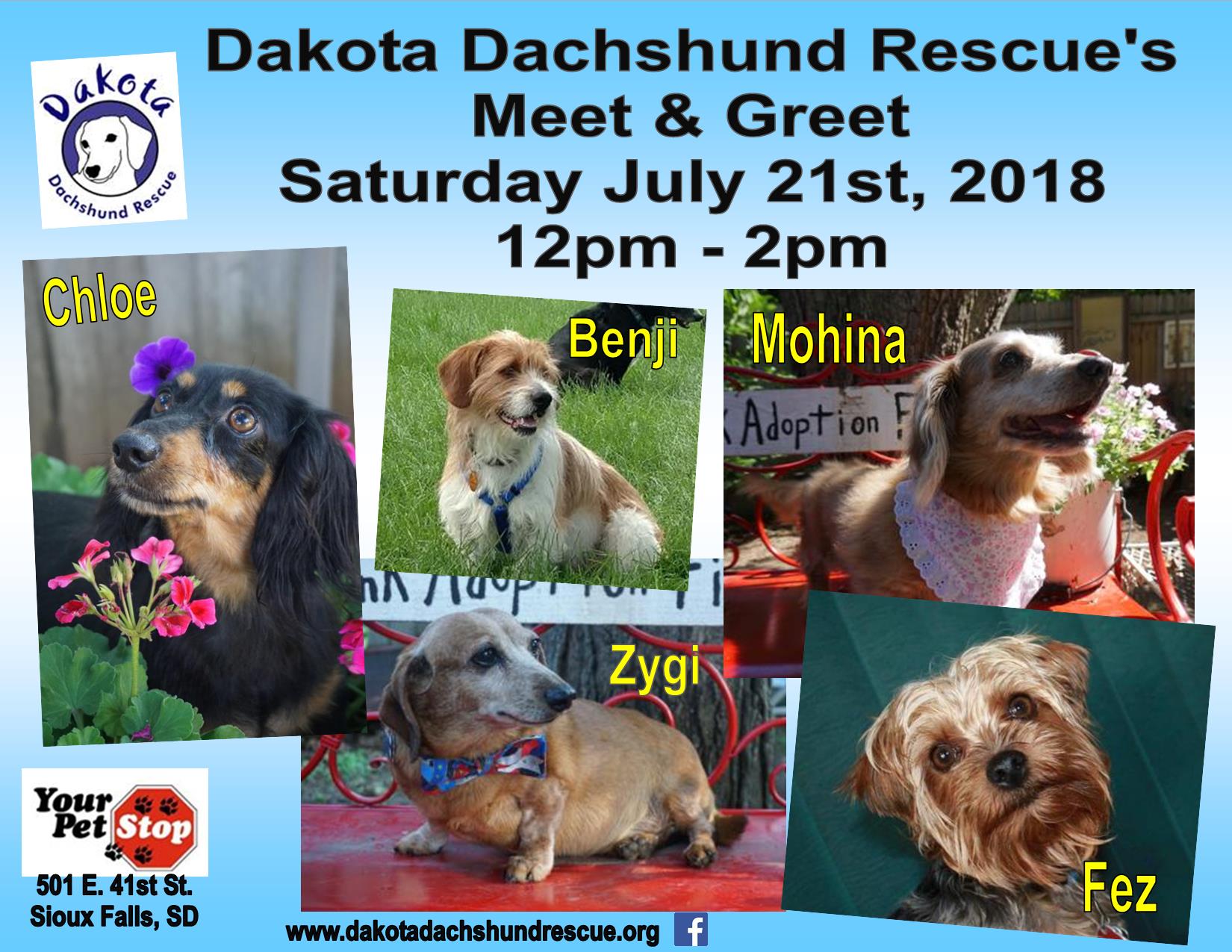 Welcome to Dakota Dachshund Rescue