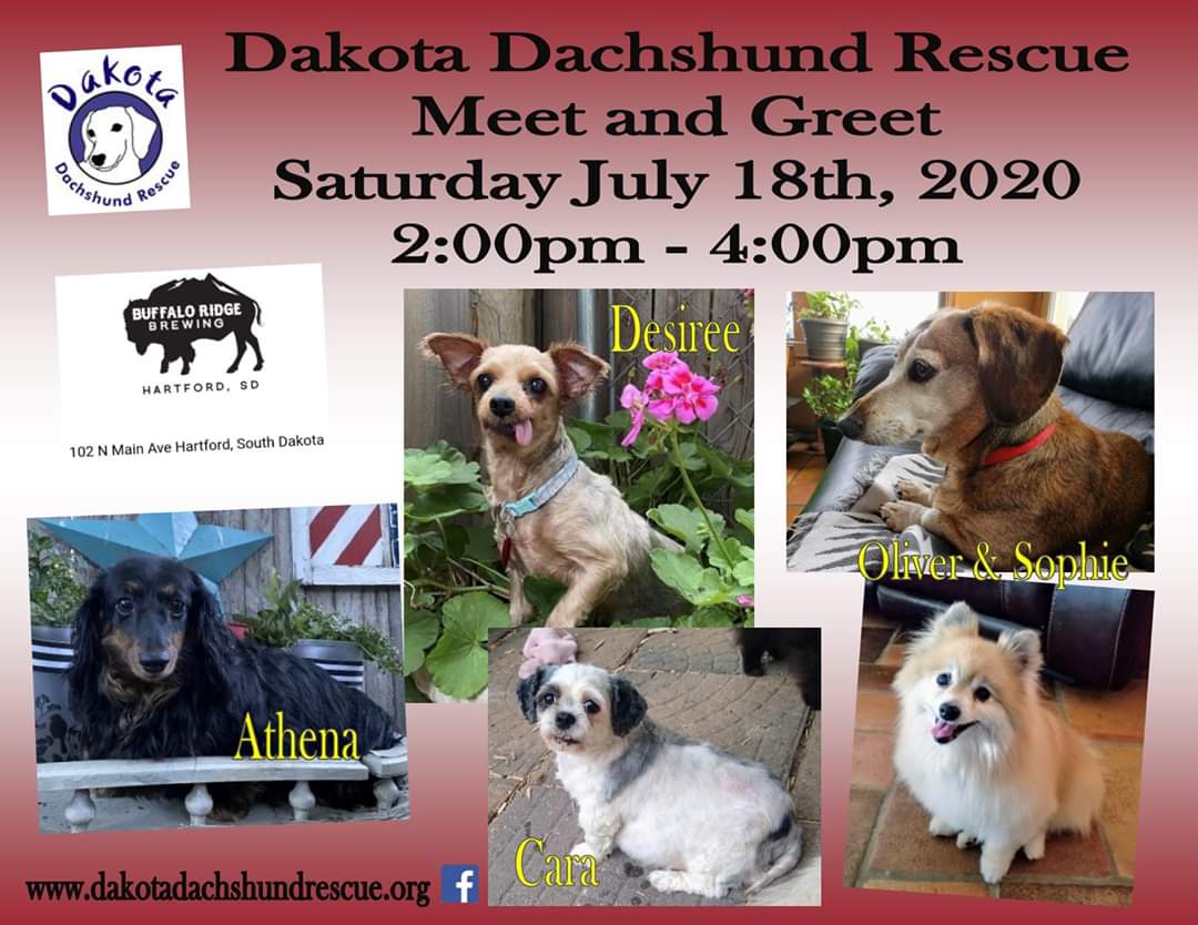 Welcome to Dakota Dachshund Rescue
