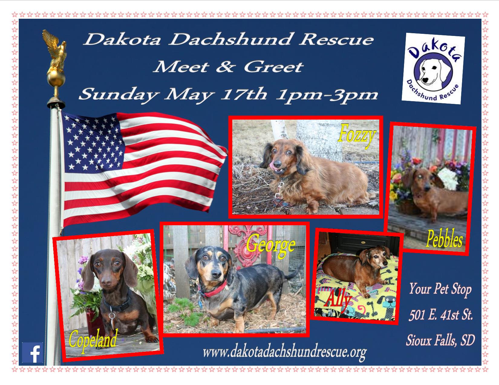 Welcome to Dakota Dachshund Rescue