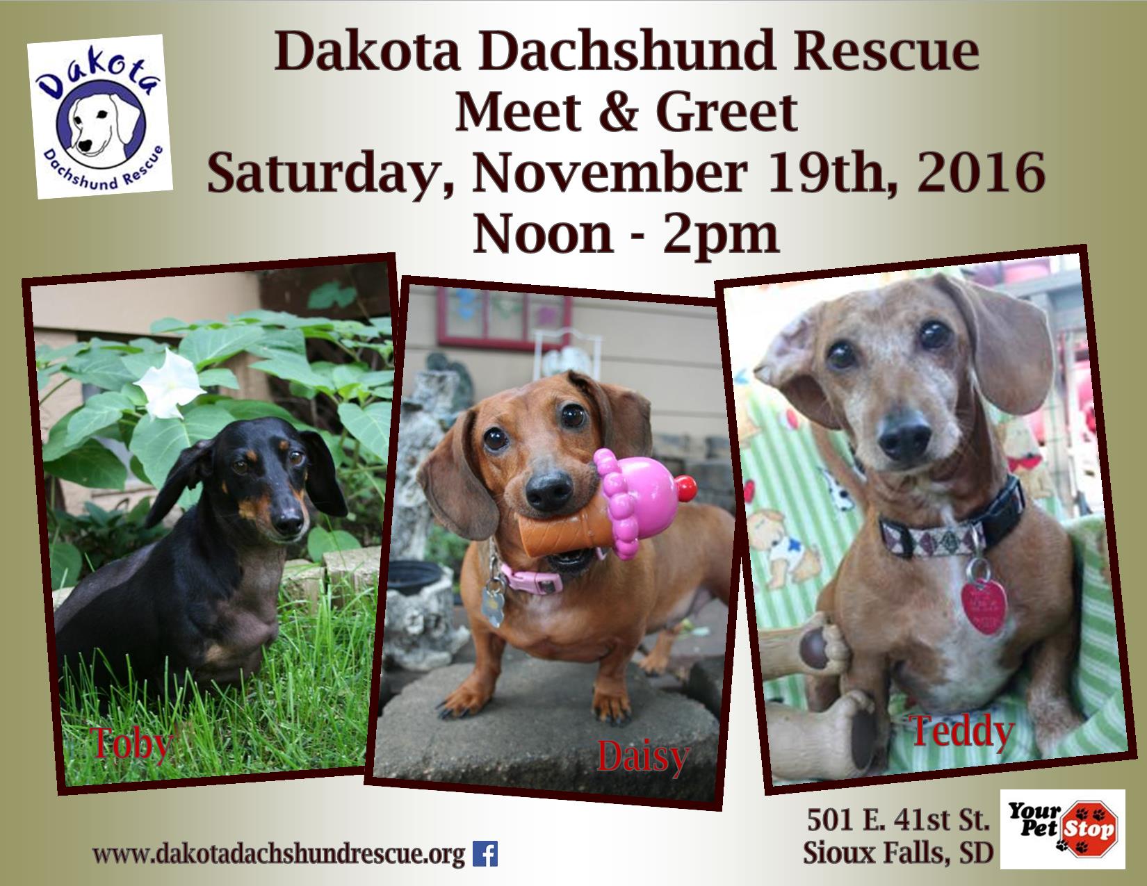 Welcome to Dakota Dachshund Rescue